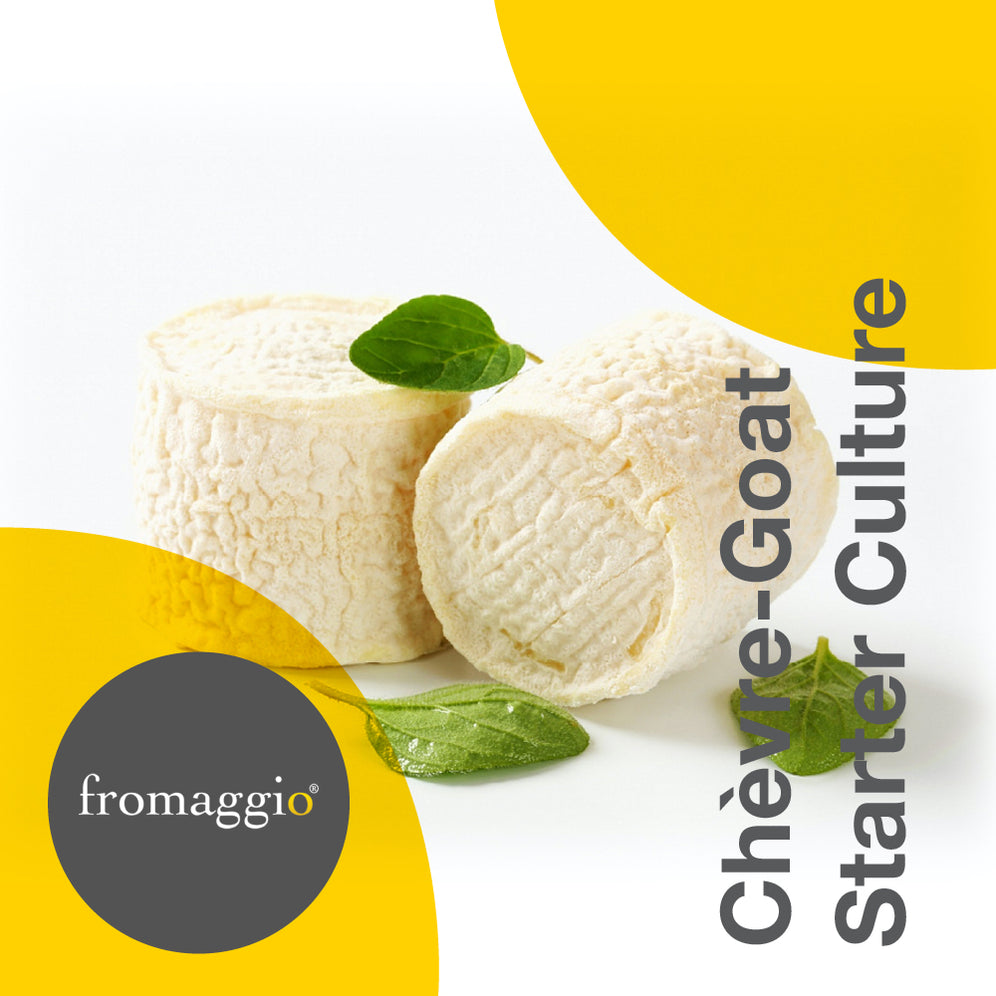 Craft Artisanal Cheese at Home with Fromaggio | Fromaggio | fromaggio