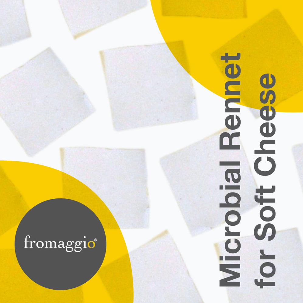 Craft Artisanal Cheese at Home with Fromaggio | Fromaggio | fromaggio