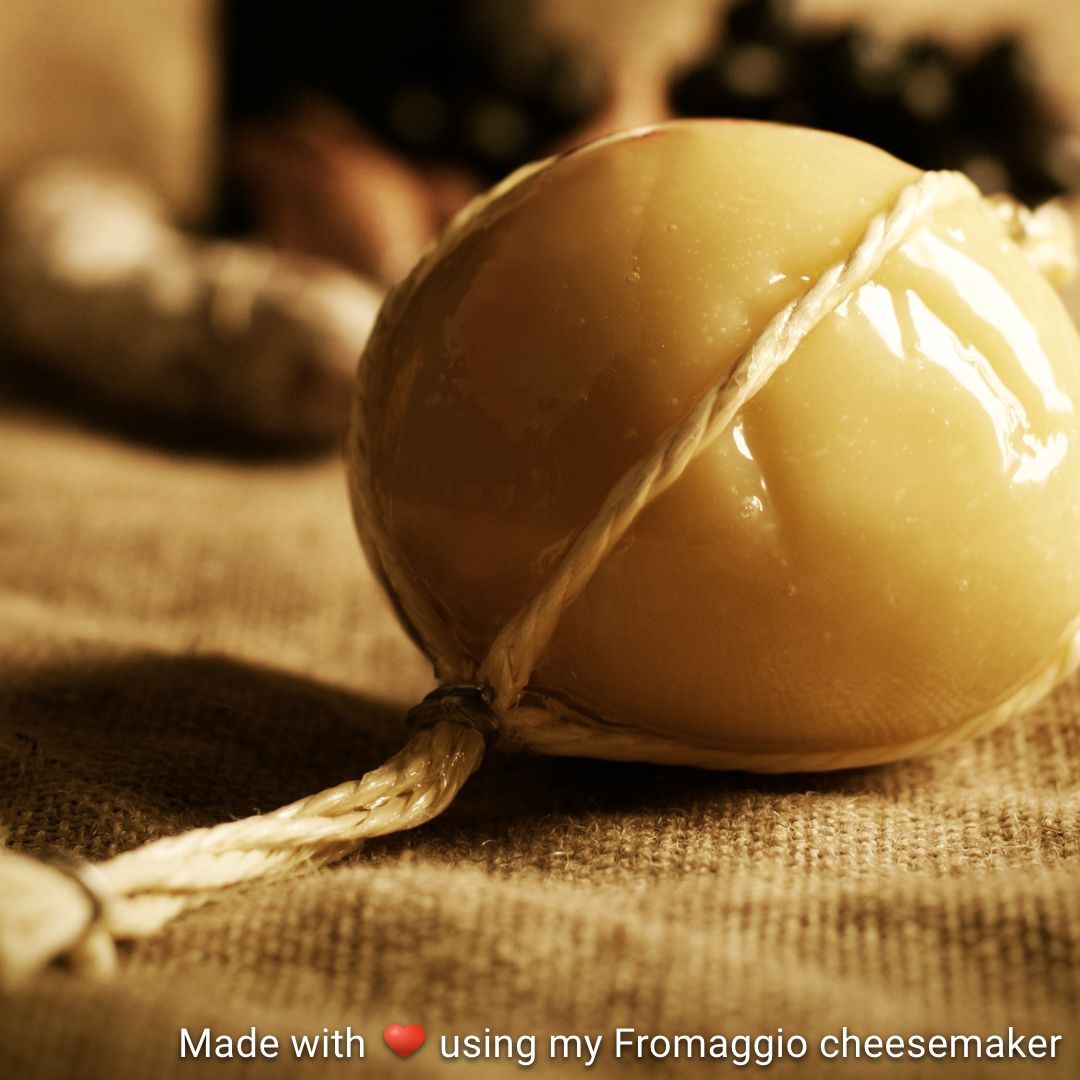 Provolone | fromaggio