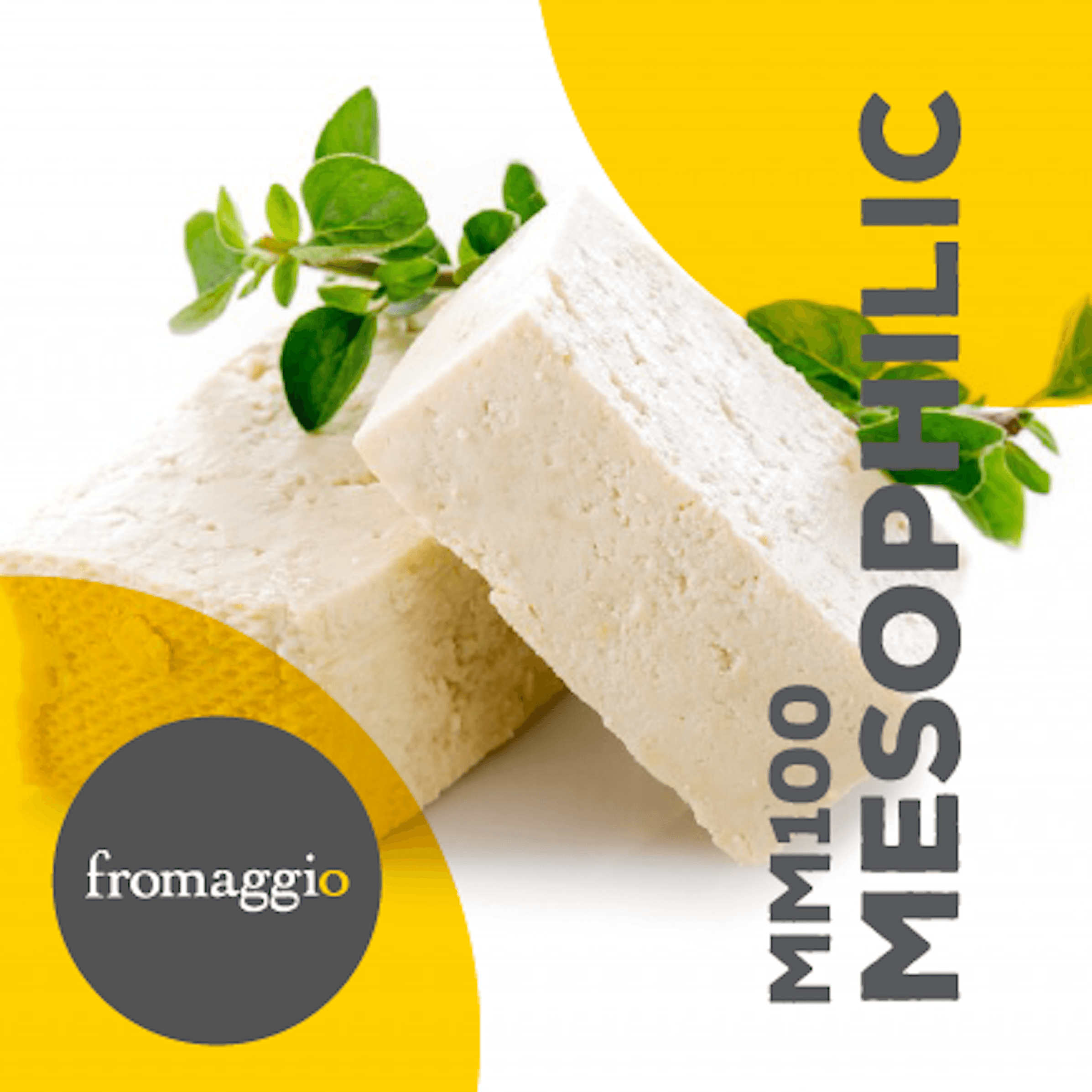 Artisanal cheese, when you want it, how you want it | fromaggio